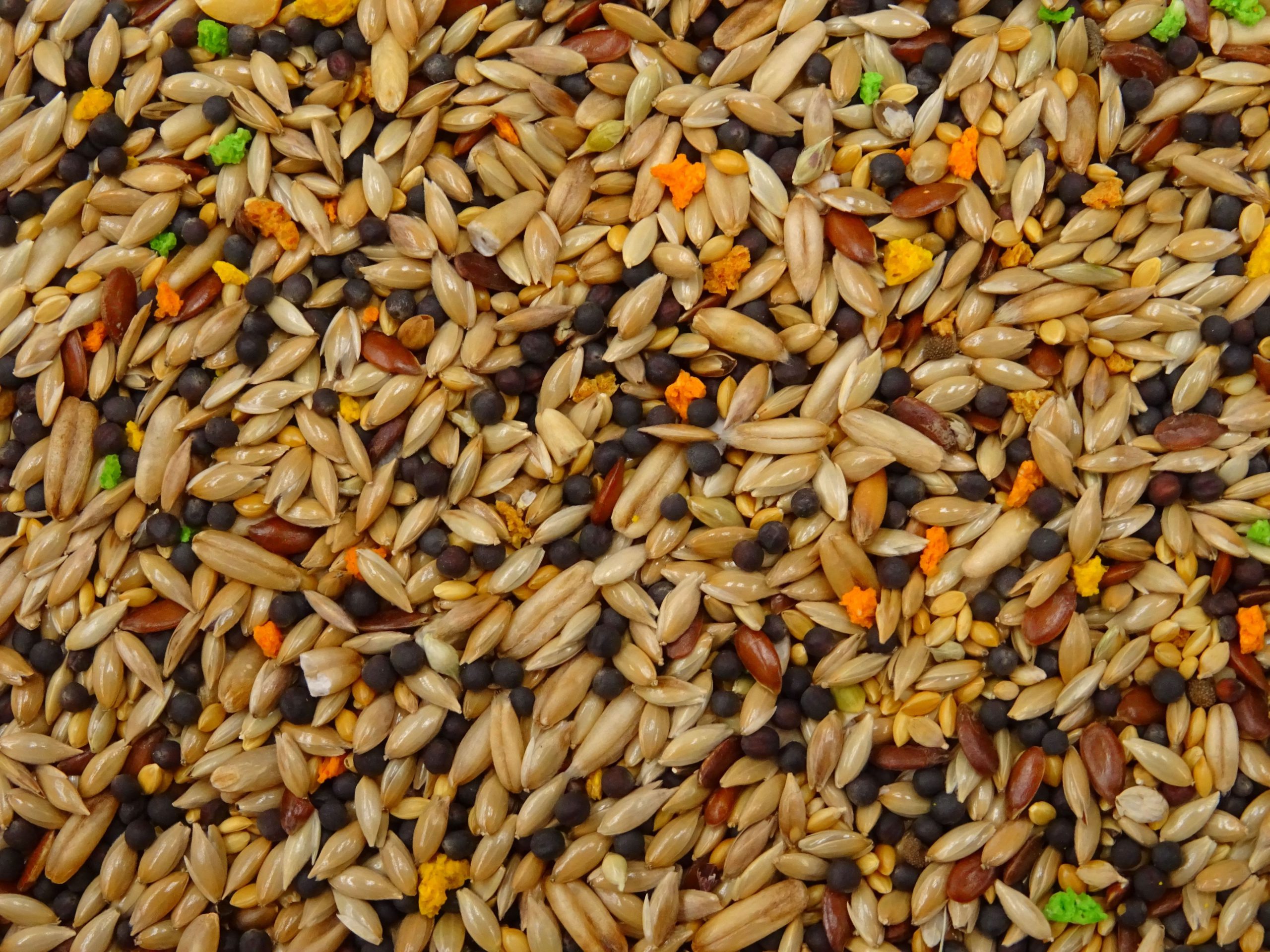 OLA Standard complete pet food for canaries – AGROMARKET INTERNATIONAL LTD